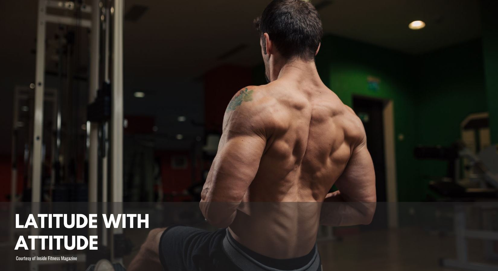 6 Exercises to Develop a Large Back | Tim Rigby @ Fitdeals.ca